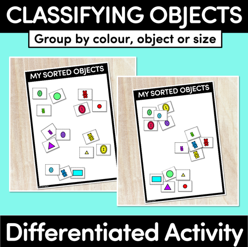 Classifying Objects- Differentiated Activity - Mrs Learning Bee