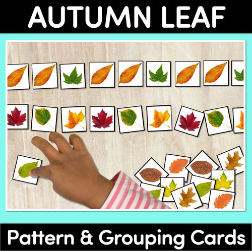 Autumn Leaf Pattern & Grouping Cards - Mrs Learning Bee