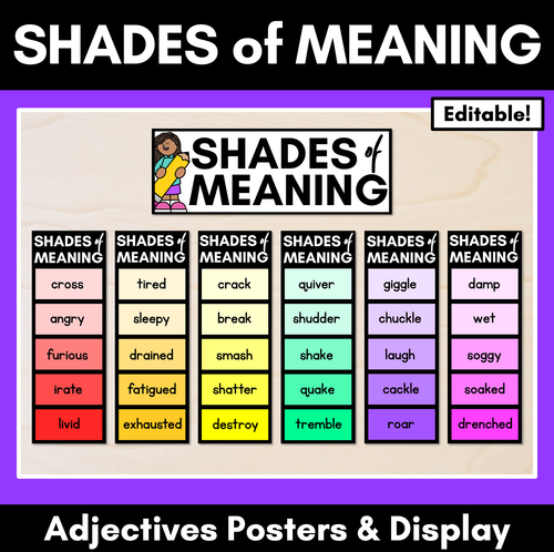 Shades of Meaning Adjectives Posters - Editable - Mrs Learning Bee