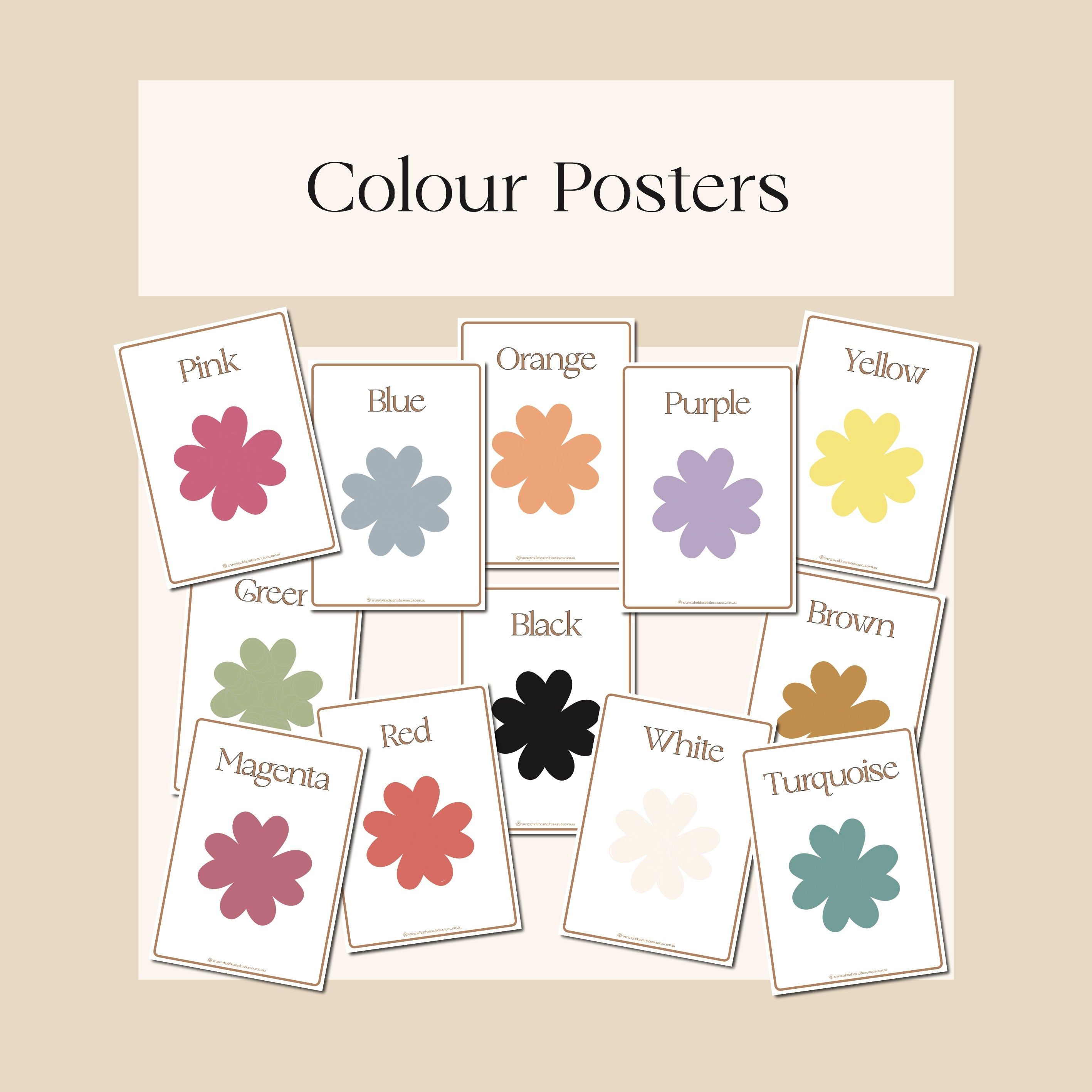 Colour Posters - Mrs Learning Bee