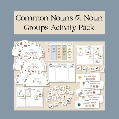 Common Nouns and Noun Group Activity Pack - Mrs Learning Bee