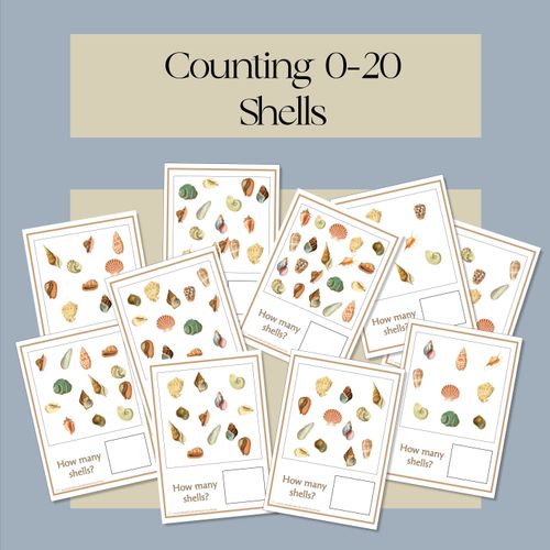 Counting 0-20 Shells - Mrs Learning Bee