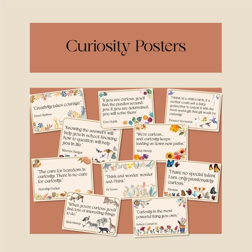 Curiosity Posters - Mrs Learning Bee
