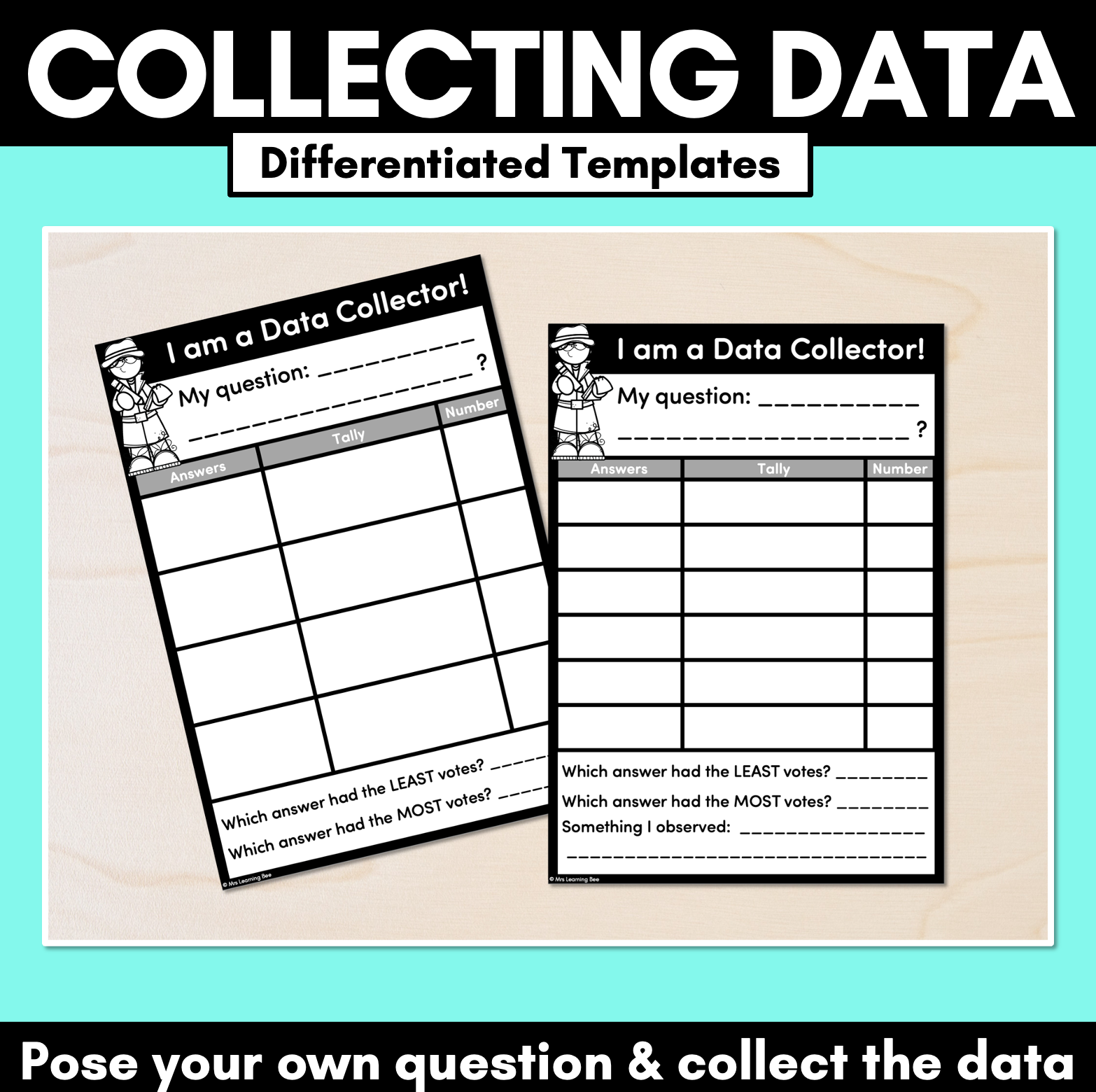 I am a Data Collector - Open-ended data collection worksheets - Mrs ...