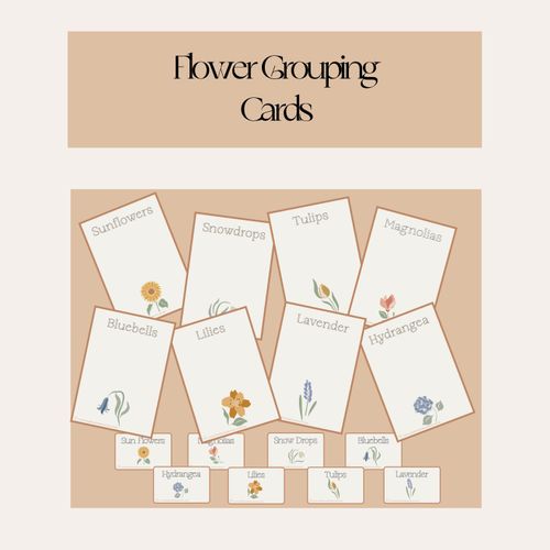 Grouping Posters- Flowers - Mrs Learning Bee