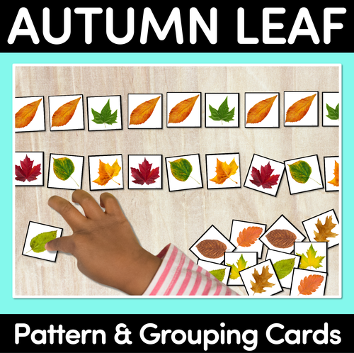 Leaf Pattern Cards - Mrs Learning Bee