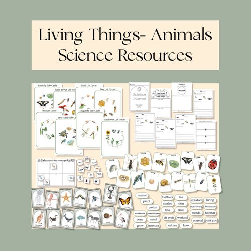 Living Things Science Resource Pack - Mrs Learning Bee
