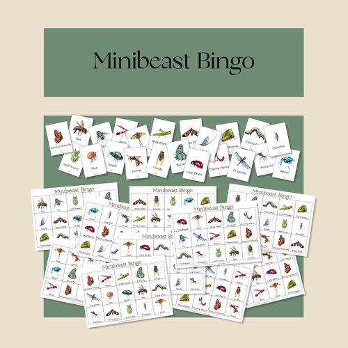 Minibeast Bingo - Mrs Learning Bee