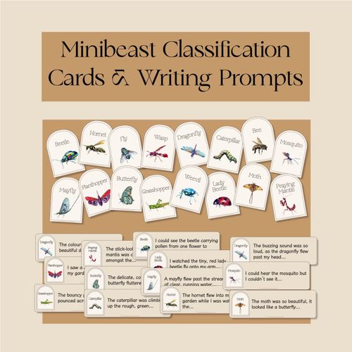 Minibeast Classification Cards and Writing Prompts - Mrs Learning Bee