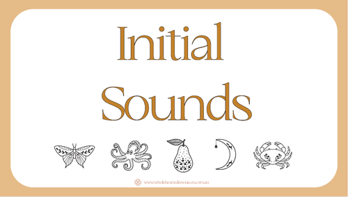 Initial Sounds Matching Activity - PowerPoint - Mrs Learning Bee