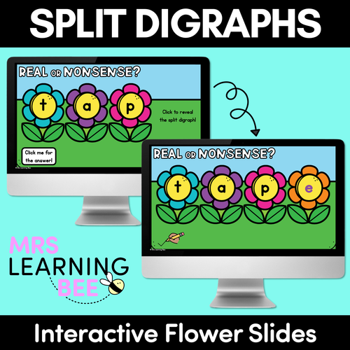 Split Digraphs CVCe Words Interactive Flower Slides - Mrs Learning Bee