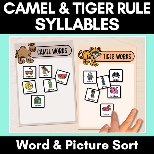 Camel and Tiger Words - Word & Picture Sorts - Open & Closed Syllables ...